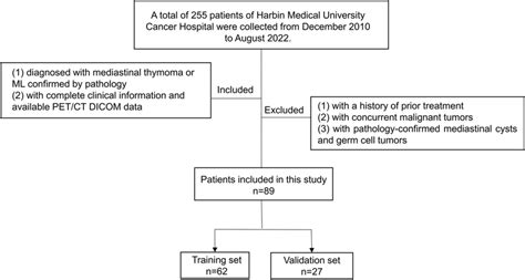 Flowchart Of Patients Selection Download Scientific Diagram