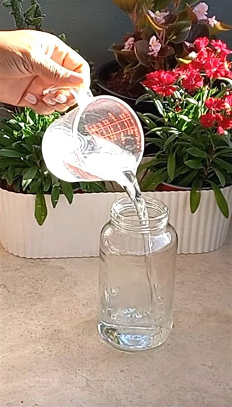 სახლი სიმწვანეში Added A New Photo სახლი სიმწვანეში