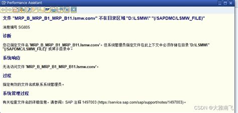 lsmw上传文件保错sg805 sap lsmw error when uploading csdn博客