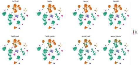 Scbert A Large Scale Pretrained Deep Langurage Model For Cell Type