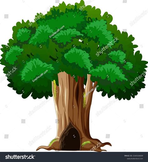 Big Tree Isolated Cartoon Illustration Stock Vector Royalty Free 2165526009 Shutterstock