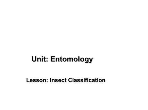 Insect Classification Entomology Presentation