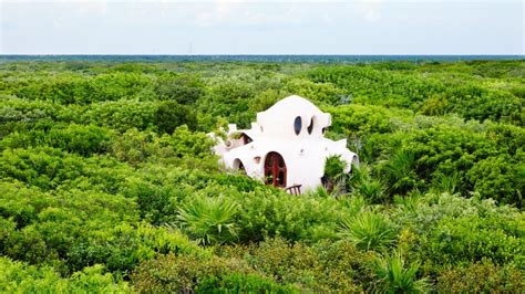 Treehouse Hotel Room Peeps Above Canopy Of Mexicos Tropical Woodland