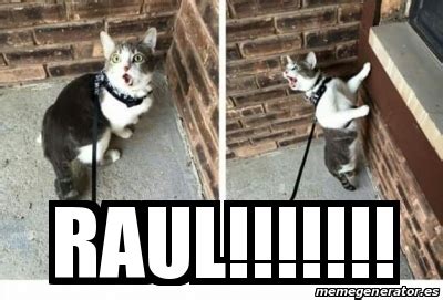 Raul Julia Memes