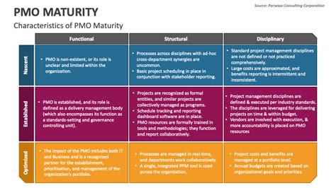 Pmo Maturity Powerpoint Presentation Slides Ppt Template
