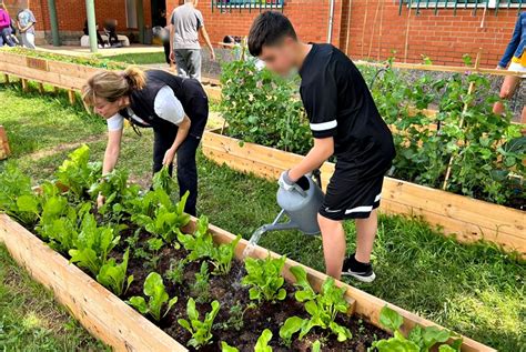 10 Estrategias Para Mejorar El Patio Escolar Como Espacio Educativo