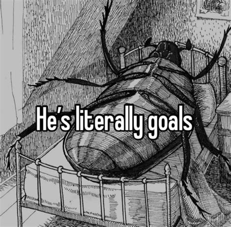 Metamorphosis By Kafka Meme Literature Humor Book Memes Memes