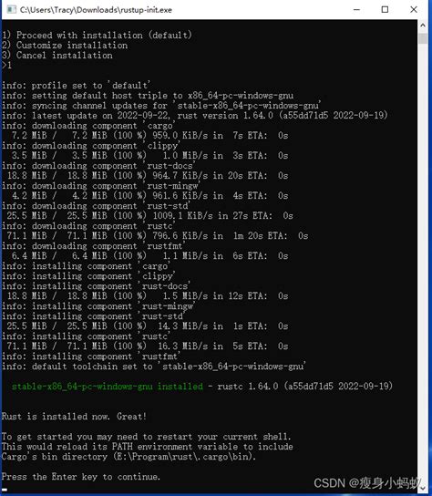 安装rust（windows 10 与 centos7） warning not enforcing strong cipher
