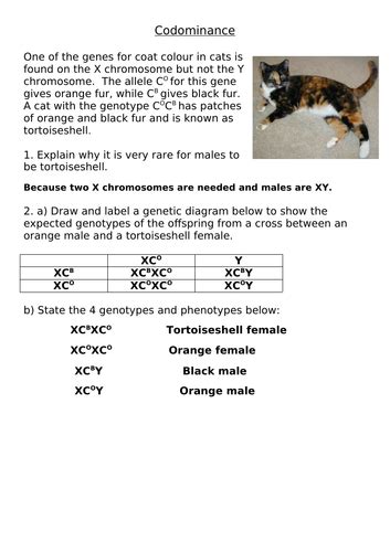Codominance And Sex Linkage Activity Aqa A Level Biology Teaching