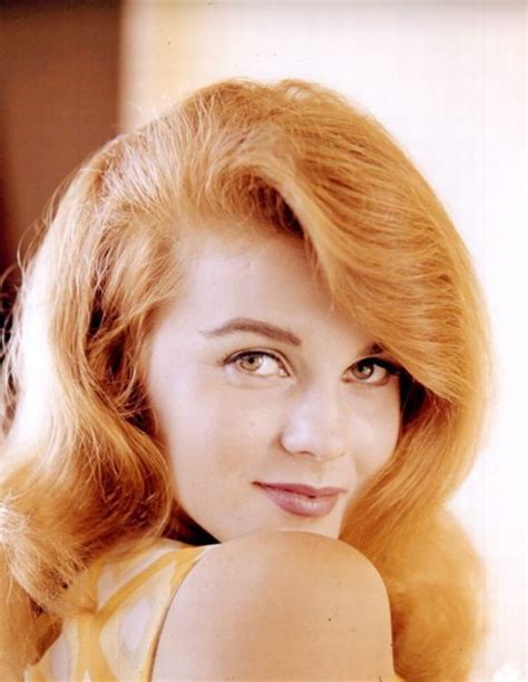Ann Margret Classic Beauty Icon Of The 1960s