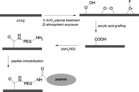 Scheme Of Surface Modification Of Ptfe By Low Pressure Plasma And