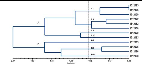 Eustoma Genus Hybrids Dendrogram Based In The First Four Components By
