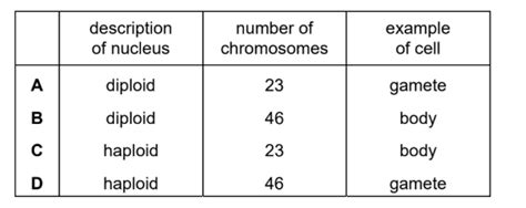 Cie Igcse Co Ordinated Science B2 1 Cell Structure Exam Style Questions Paper 2