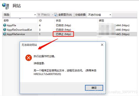 Iis部署本地网站提示无法启动网站，另一程序正在使用此文件，进程无法访问iis部署vue 另一程序正在使用此文件 Csdn博客