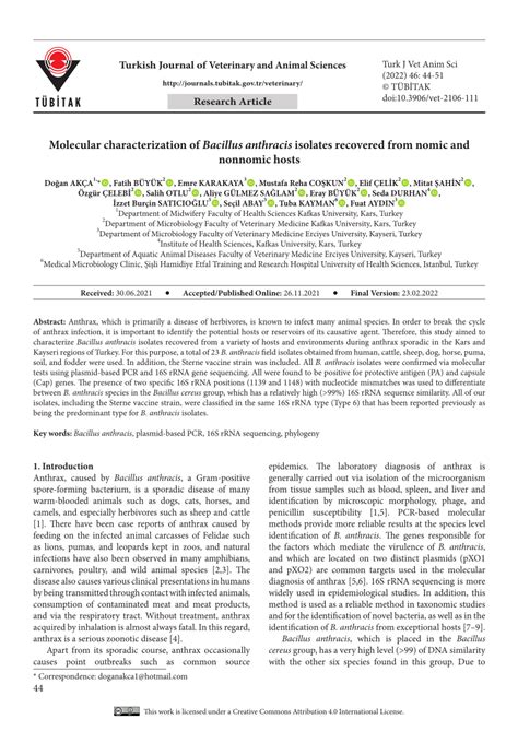 Pdf Molecular Characterization Of Bacillus Anthracis Isolates Recovered From Nomic And