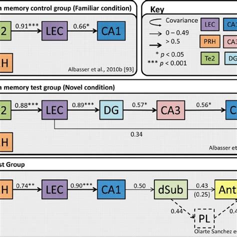 Schematic Illustration Of Various Tests Of Object Recognition Memory