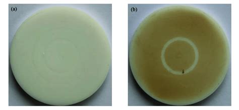 Appearance Photos Of Sample Samples Before And After UV Irradiation