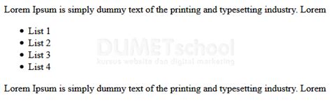 Macam Macam List Style CSS Pada Tag Ul Dan Cara Menggunakannya
