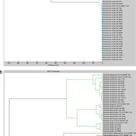 Msp Dendrograms For Included Challenge Strains Of Aerococcus Species