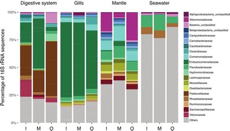 Taxonomy Bar Plot Of Bacterial Communities Associated With T Maxima