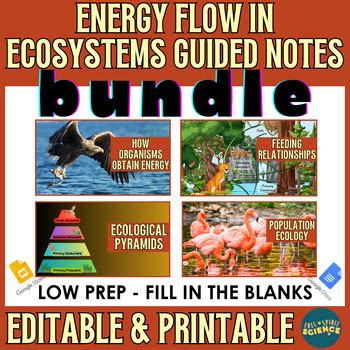 Energy Flow In Ecosystems Guided Notes Bundle PowerPoints Fully Editable