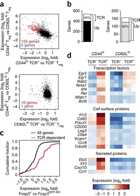 Tcr Signaling Maintains The Effector Treg Cell Transcriptional Download Scientific Diagram