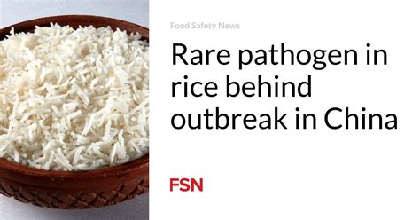 Rare Pathogen In Rice Behind Outbreak In China Food Safety News