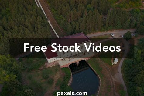 Belledelphineintheforest Videos Download The Best Free 4k Stock