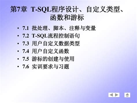 第7章 t sql程序设计、自定义类型、函数和游标 word文档在线阅读与下载 无忧文档