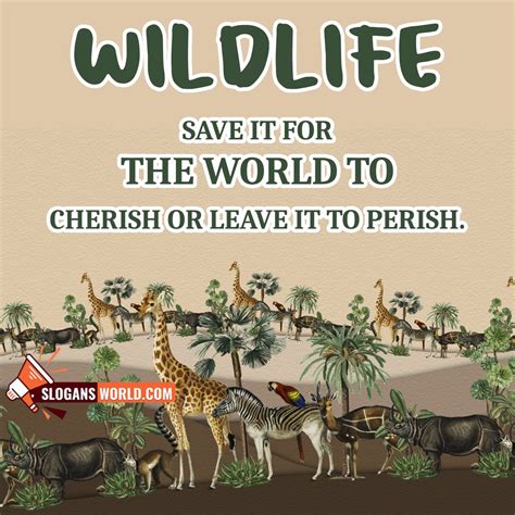 Catchy Slogans On Wildlife Conservation Slogans World