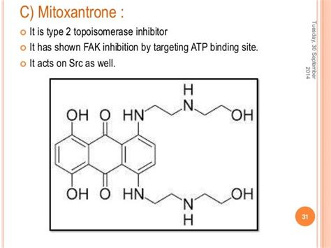 Fak Inhibitors