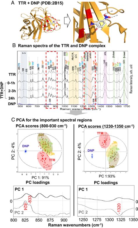 A Molecular Structure Of The Ttr Orange Dnp White Nitrogen