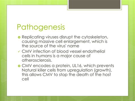 Ppt Cytomegalovirus Powerpoint Presentation Free Download Id3176476