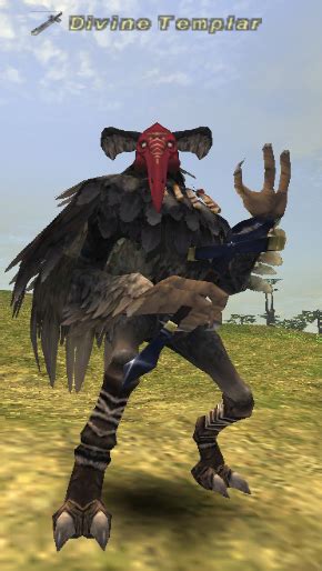 Divine Templar Ffxiclopedia Fandom