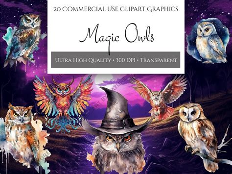 Magic Owl Png Clipart Colorful Owl Design Graphics Clip Art For Commercial Use Etsy