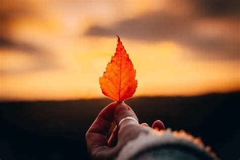 Rethinking Testing In Production The New Stack