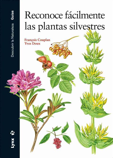Guía De Identificación De Plantas Con Flores Libro Guia De
