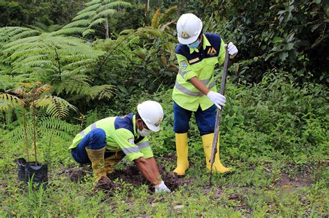 Environment Protection Pt Masmindo Dwi Area