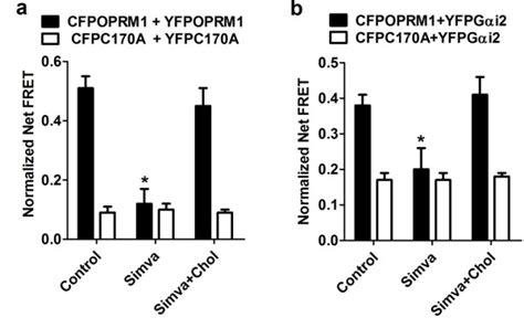 Reducing Cellular Cholesterol Affects Homodimerization And G Protein