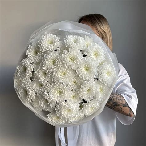 Облако из хризантемы Алтай Menisto