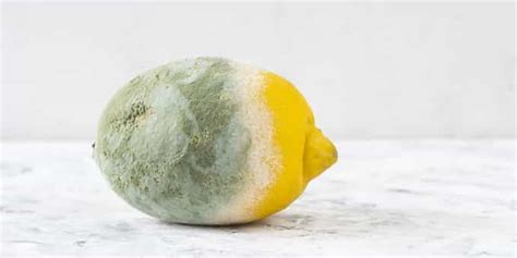 How Can A Food Handler Identify Food That Has Been Contaminated With