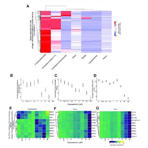 Top 10 Genes Within The Nitrogen Compound Metabolic Process Pathway