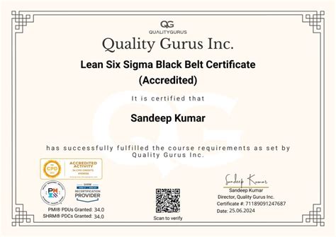 Six Sigma Team Roles And Responsibilities Quality Gurus