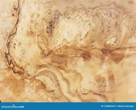 Wood Texture Olive Tree Background Pattern Stock Image Image Of Food