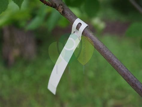 Купить бирки петельки для растений от производителя