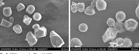 Figure 1 From Development And Optimization Of A Starch Based Co Processed Excipient For Direct