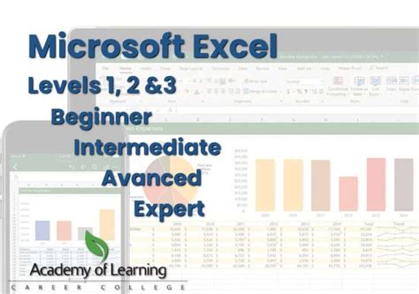 Microsoft Excel Beginner To Expert Certificates Academy Of Learning Career College