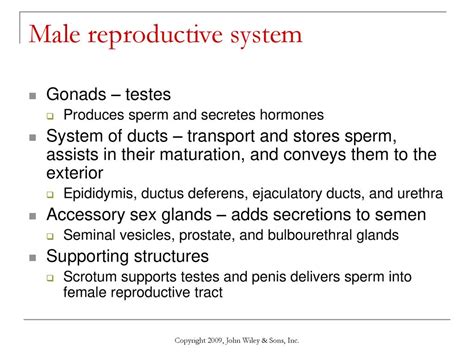 Chapter 28 The Reproductive Systems Ppt Download
