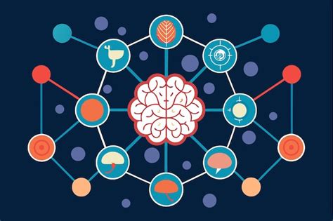 This Diagram Displays Various Neural Connections Related To Brain