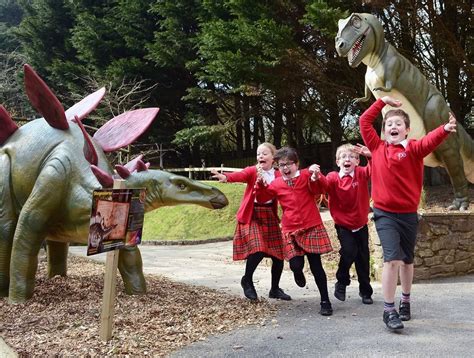 Turn Back Time With 49 Pictures Of Flambards Through The Years